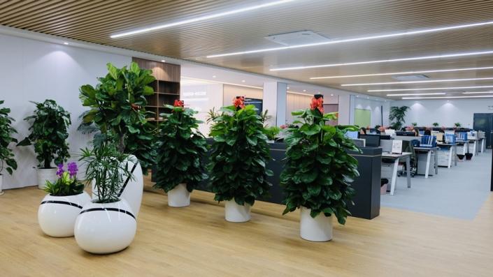 ONN – Professional Special LED Lights Manufacturer